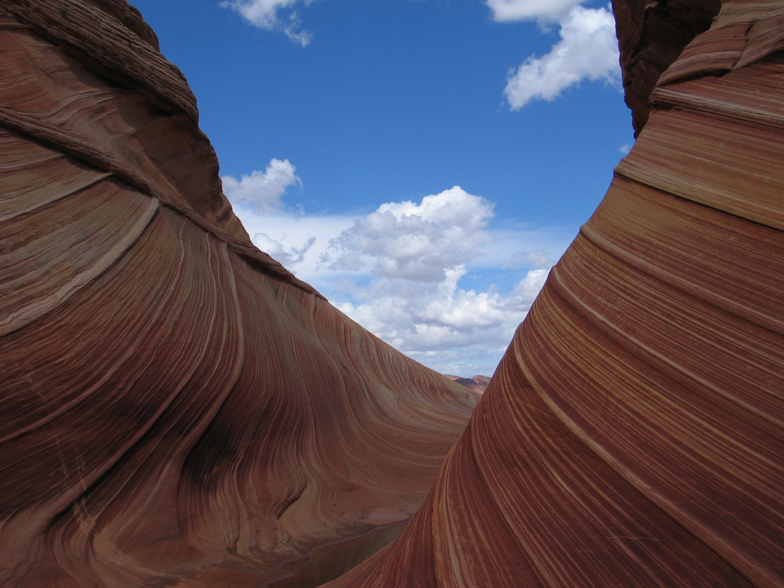 Magical Wave Canyon - How to get a permit and hike Wave