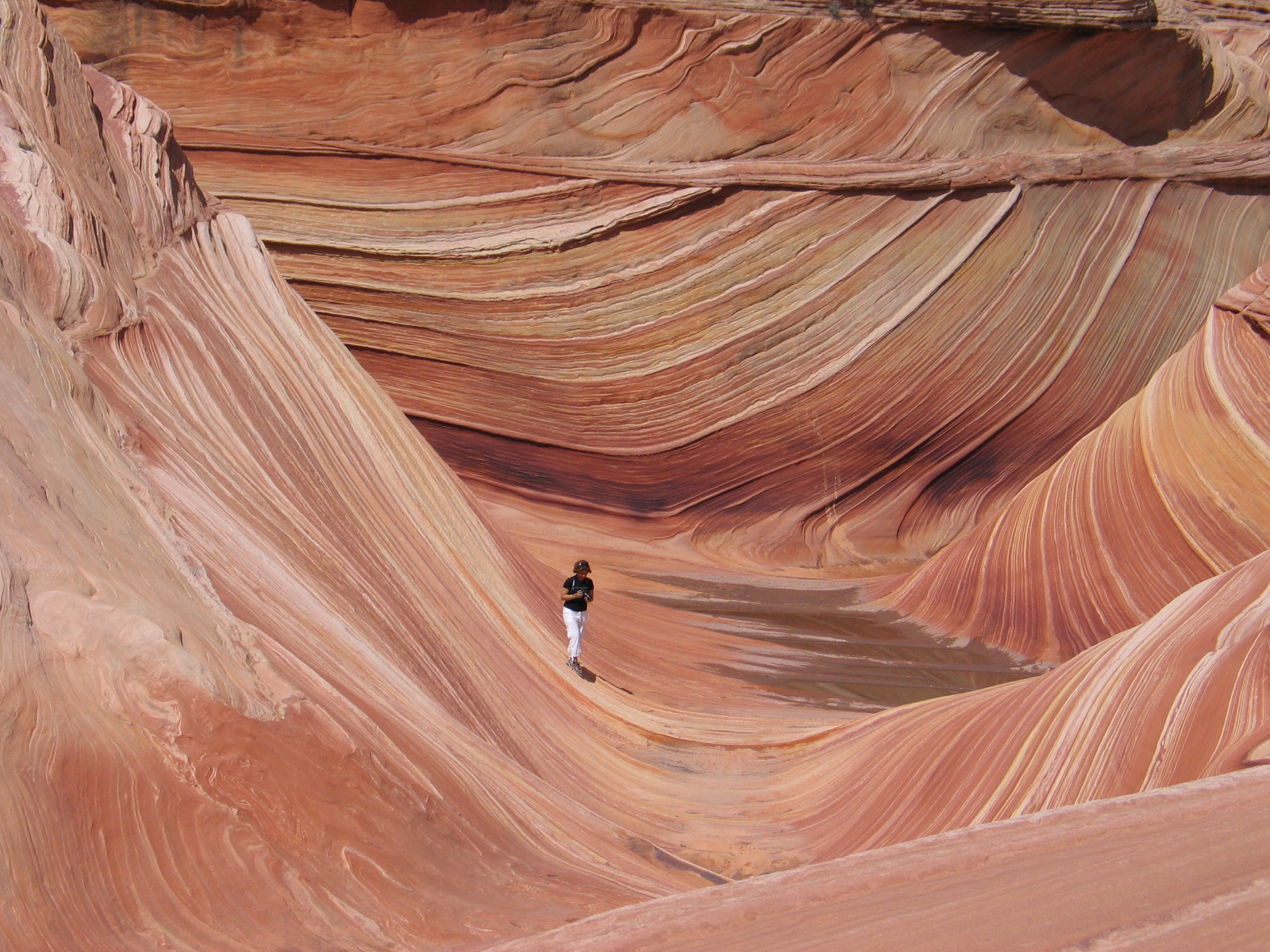 Magical Wave Canyon - How to get a permit and hike Wave