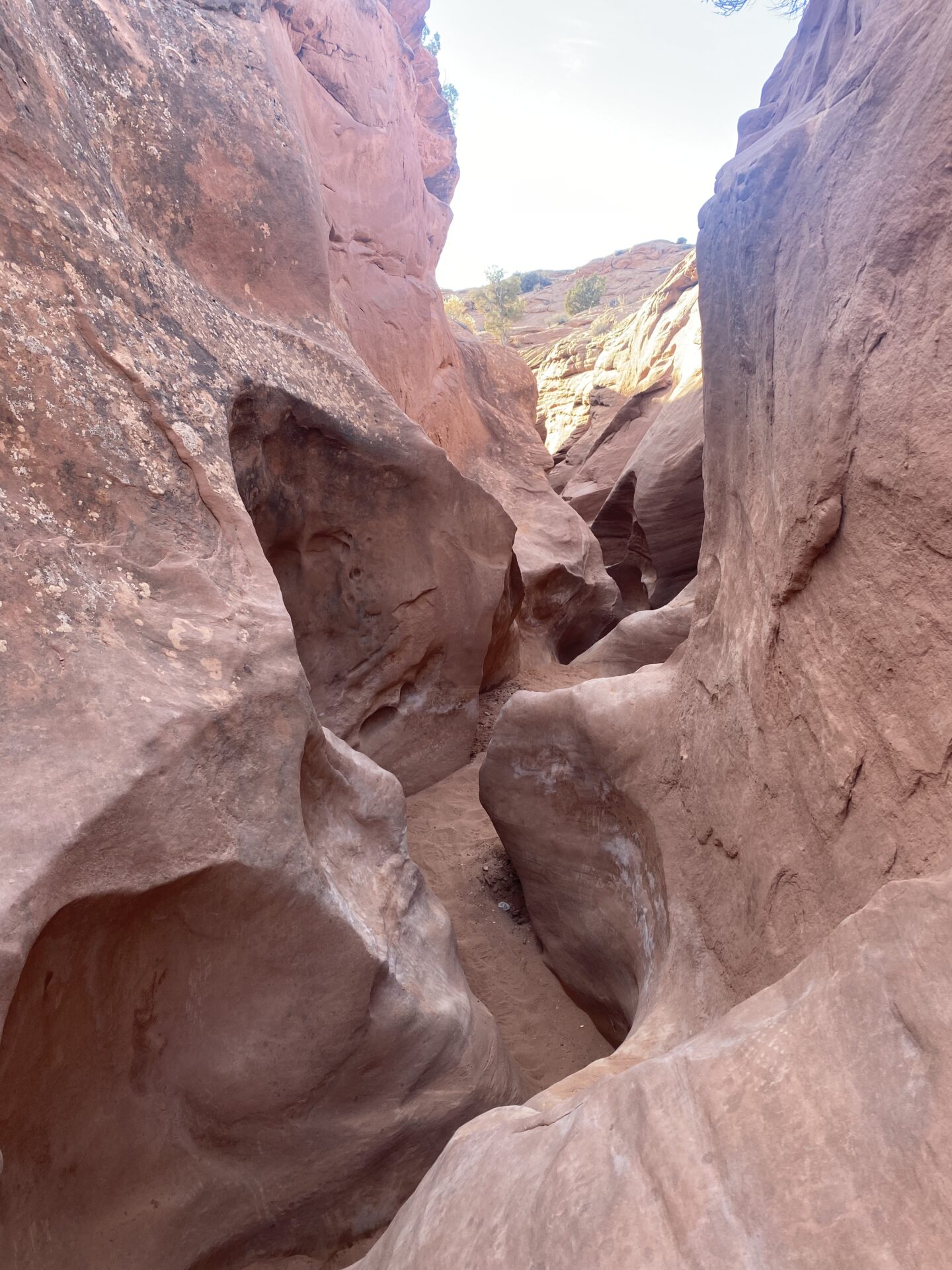 Canyon Crawling: An Epic Hike through Peek-a-Boo and Spooky Slot Canyons