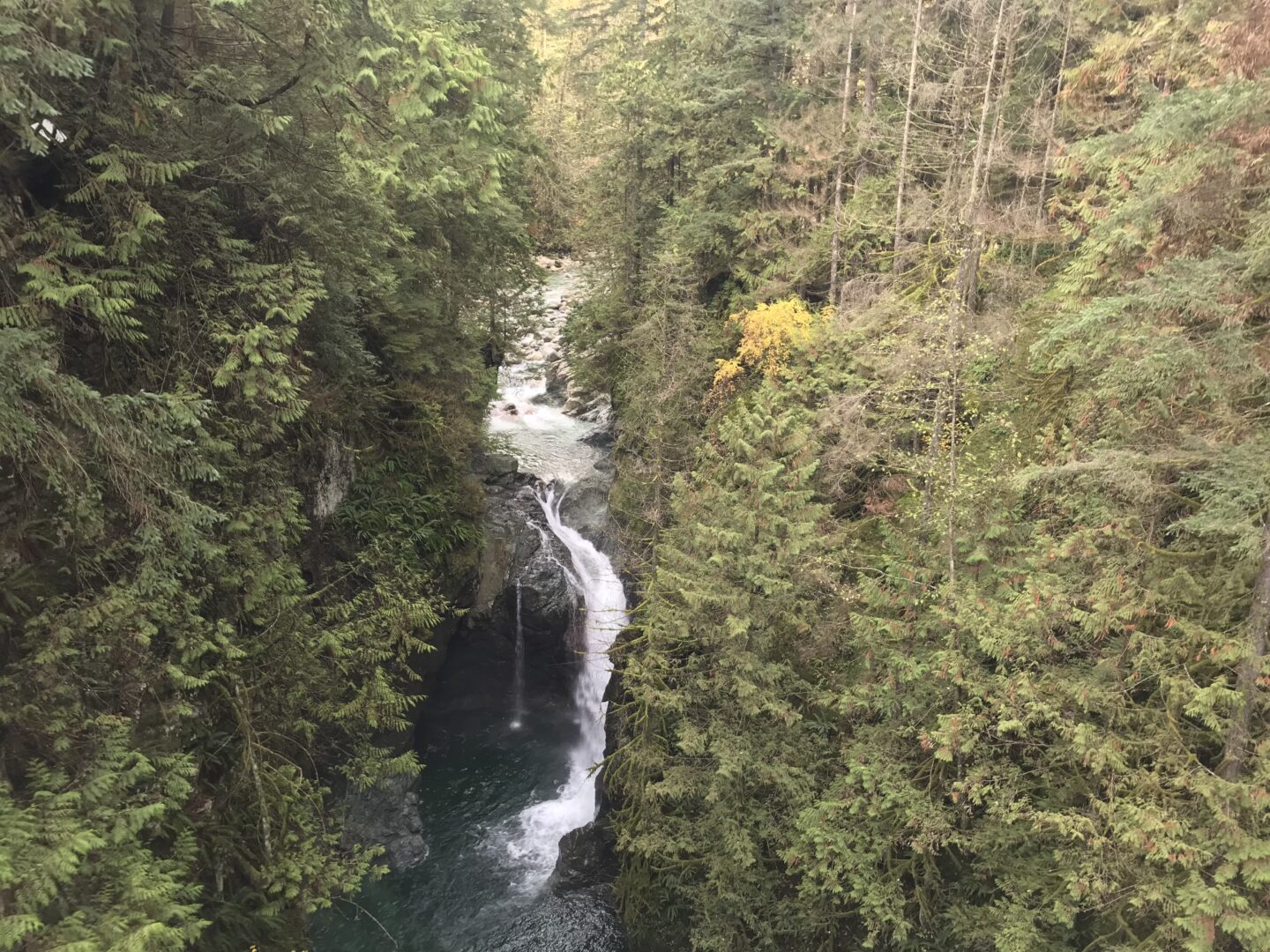 Suspension Bridges Day: Visiting Capilano and Lynn Canyon - Places and ...