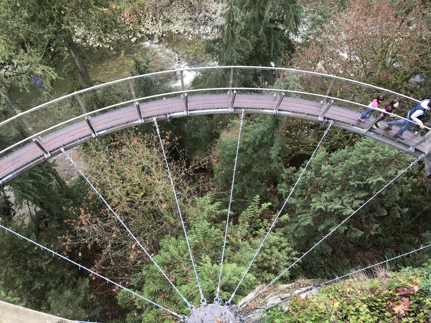 Suspension Bridges Day: Visiting Capilano and Lynn Canyon - Places and ...