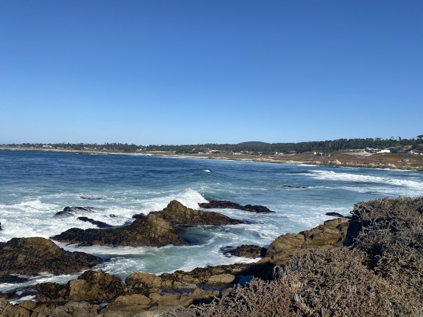 The Ultimate Guide to Driving 17 Mile Drive - Places and Recipes