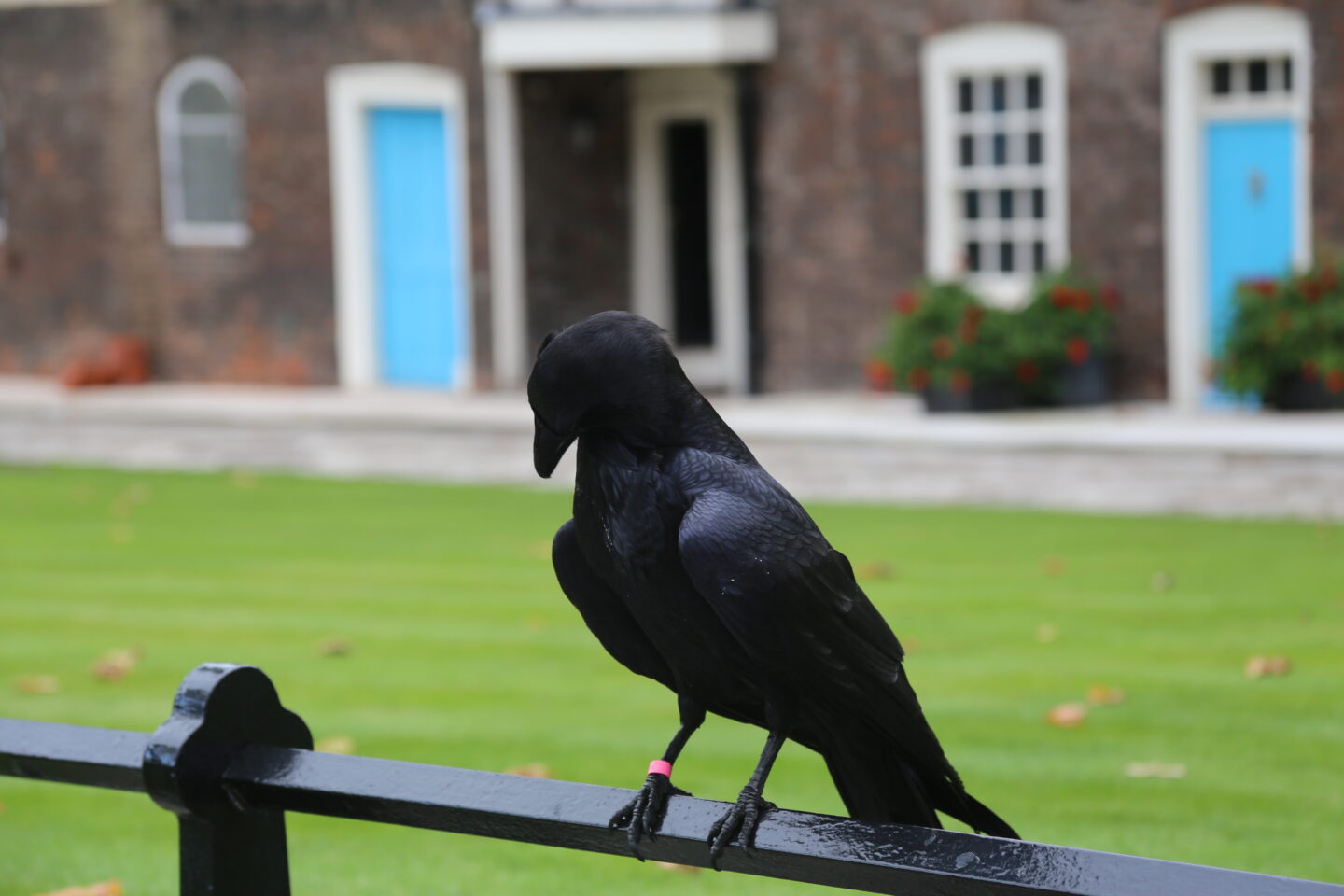 10 tips for visiting Tower of London & One day itinerary. - Places and ...