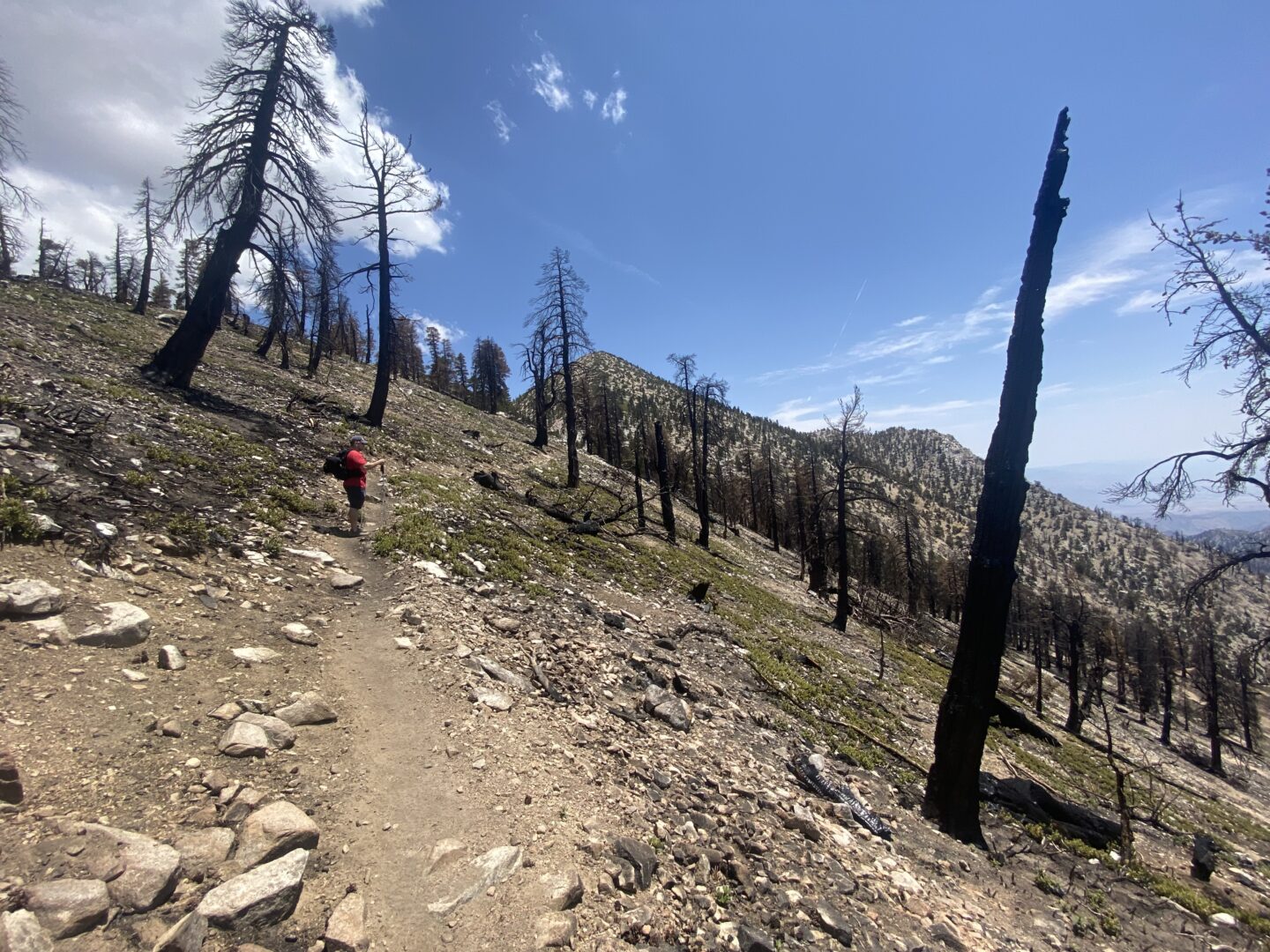 San Gorgonio Peak via Vivian Creek trail and how to train for the hike ...